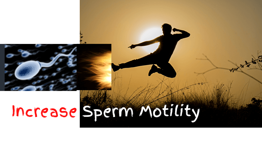 Increase Sperm Motility Fast And Boost Male Fertility Naturally